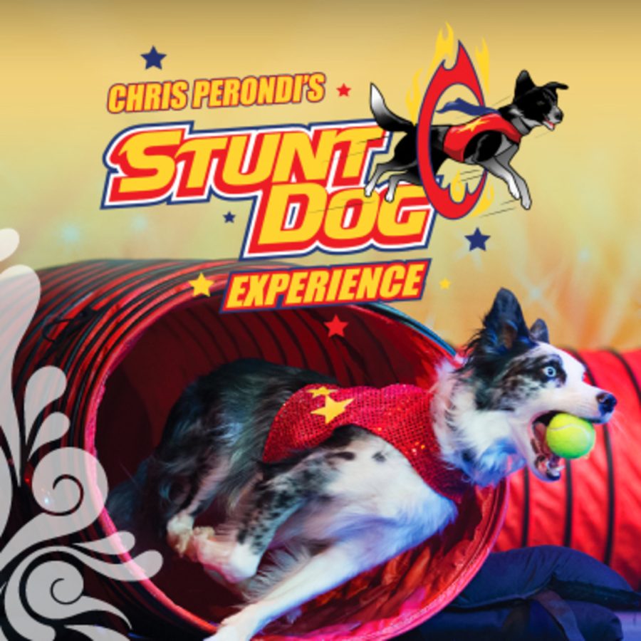 Saturday, April 26 Chris Perondi’s Stunt Dog Experience 7:30 p.m. Main ...